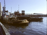 Tugboat Information